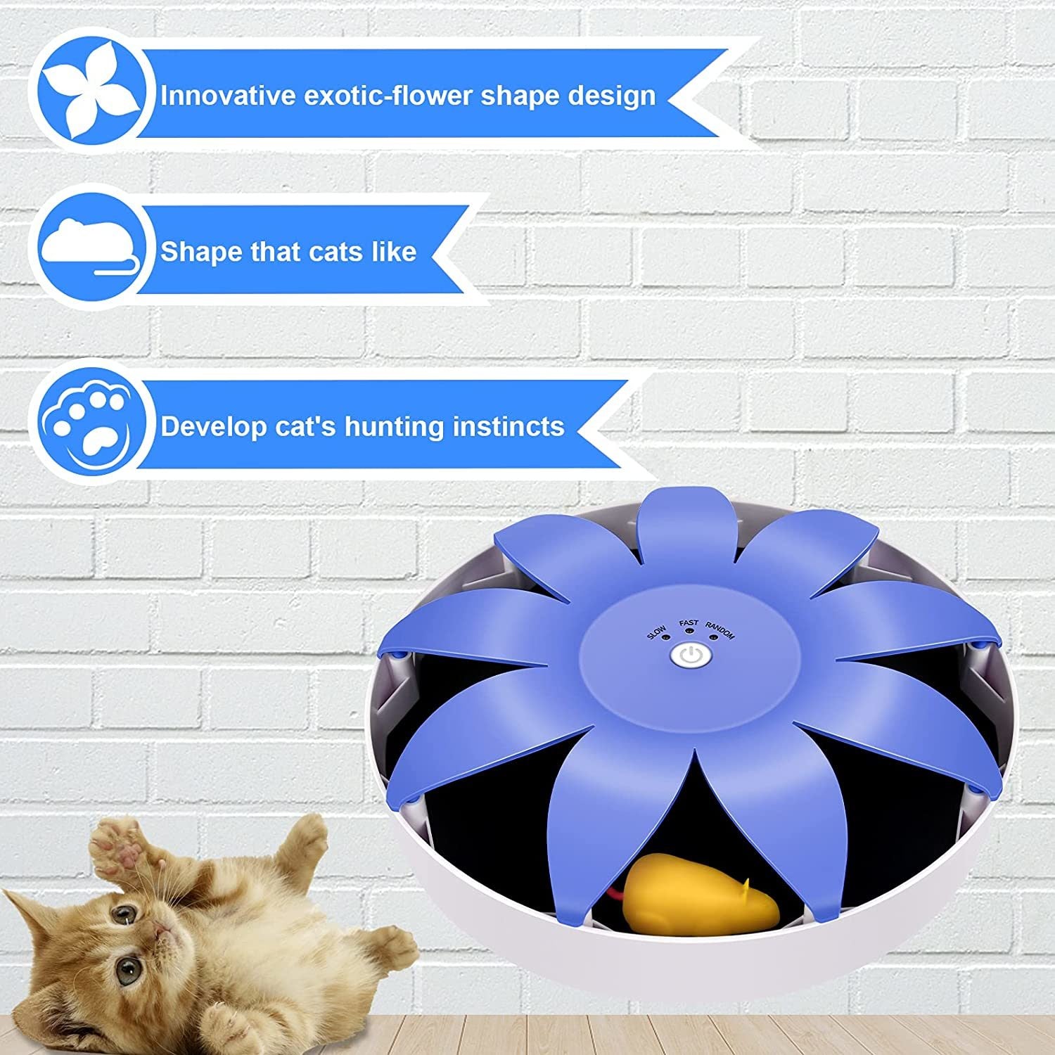 Spocket | Dropship | FluffyDream Automatic Electric Magnetic Spinning ...